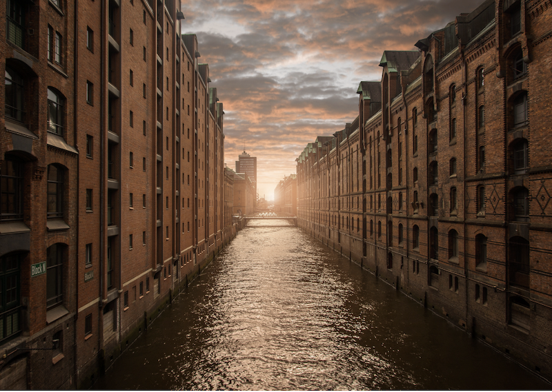 KSHV Association Bylaws - 28th International Workshop on Kaposi’s ...